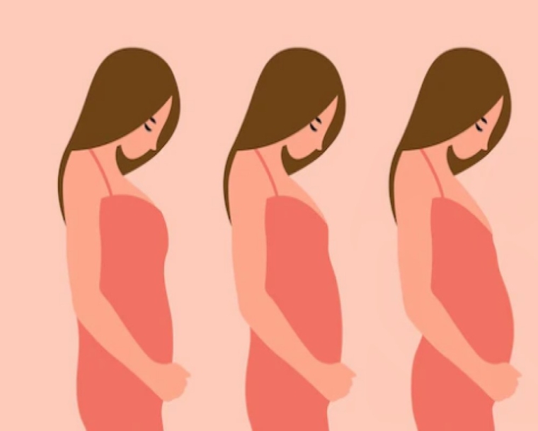 5 Weeks Pregnant - The Pregnancy Calculators